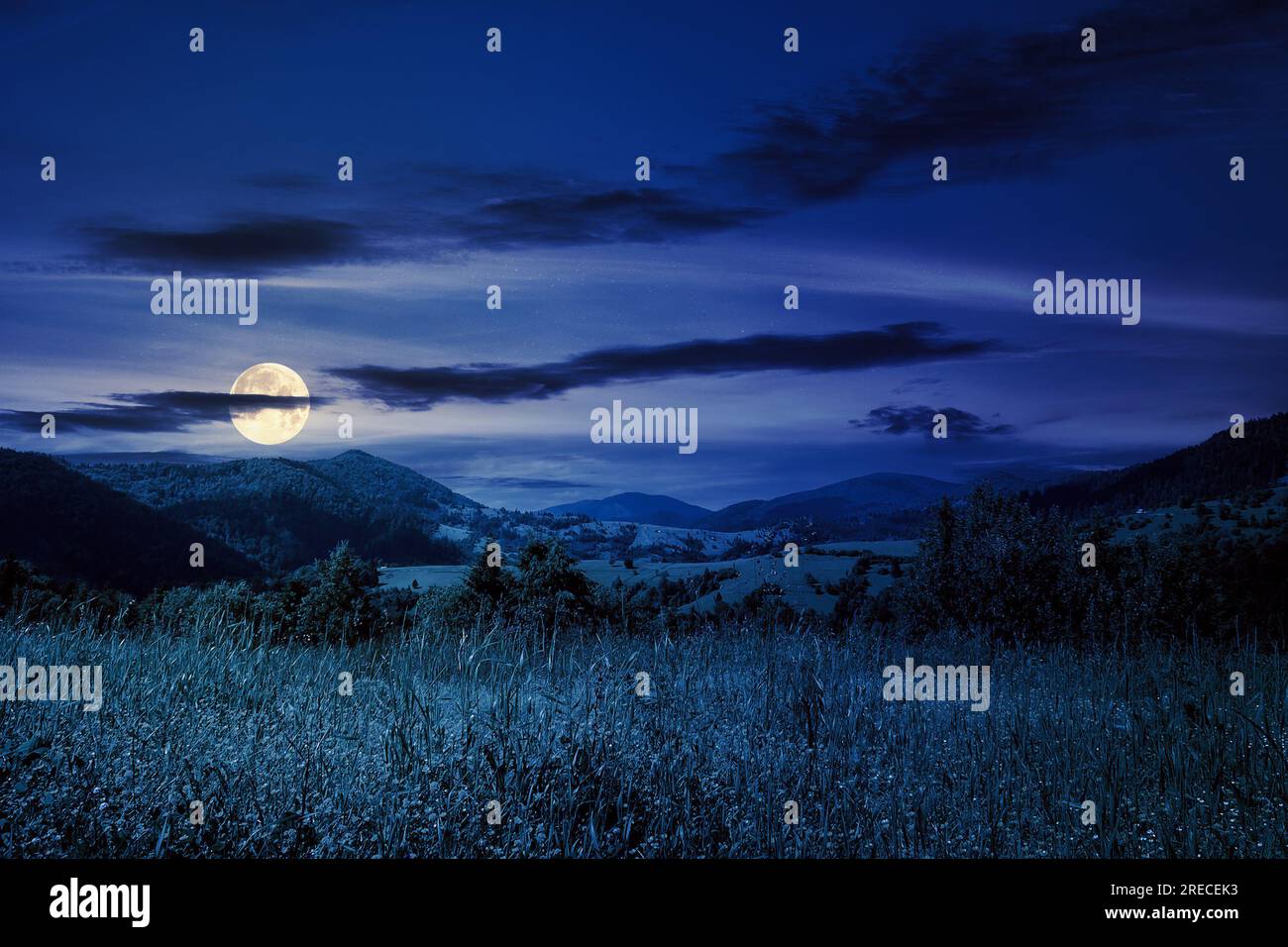 Alpine meadow with tall grass on a background of mountains at night ...