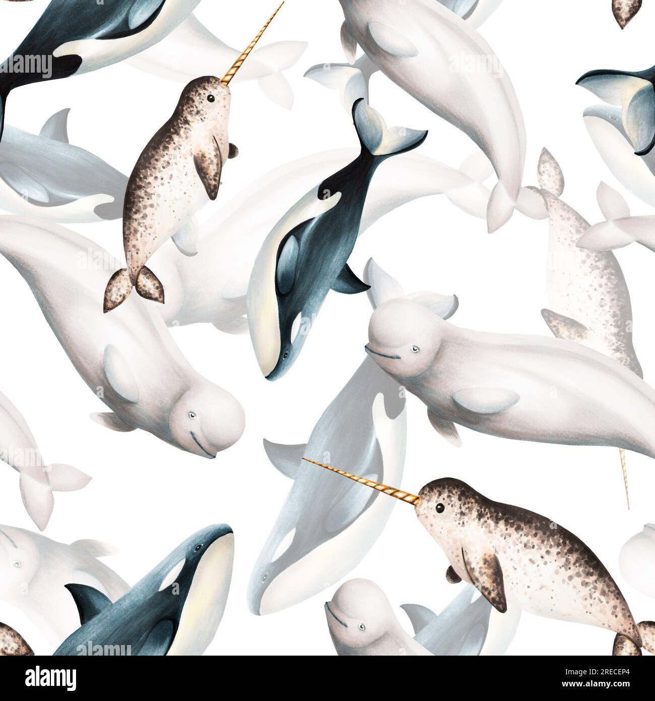 Watercolor seamless pattern with beluga, killer whale and narwhal ...
