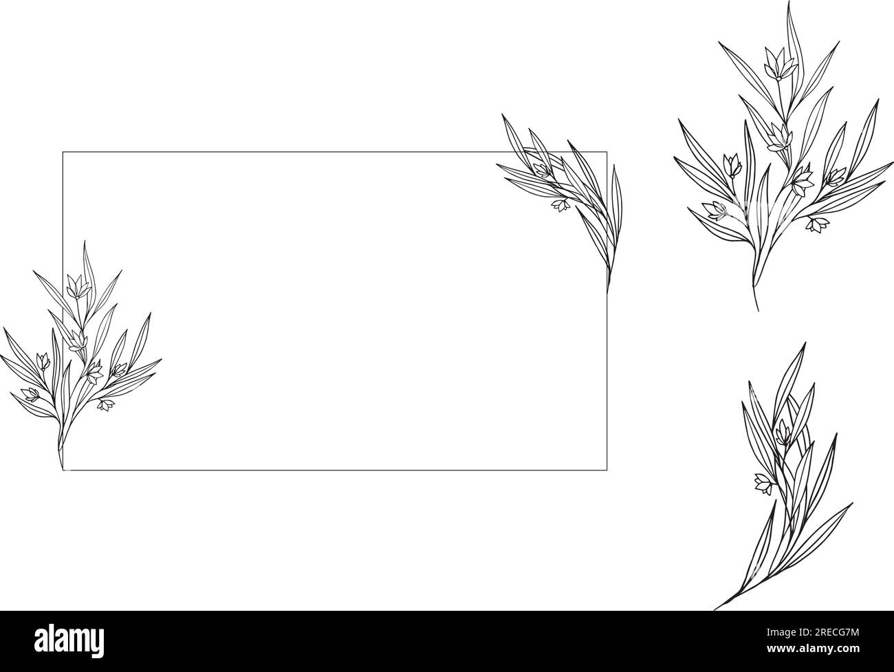 Vector botanical frame with flowers and separate elements to create it ...