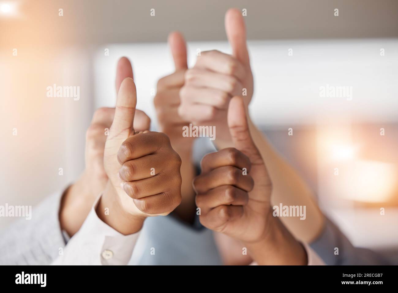 Thumbs up, business people and hands for success, teamwork and vote yes ...