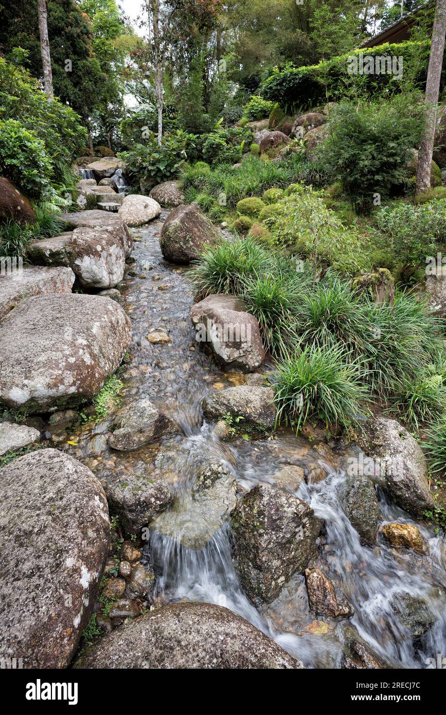 Famous Botanical Japanese Village in tropical rainforest, Bukit Tinggi ...