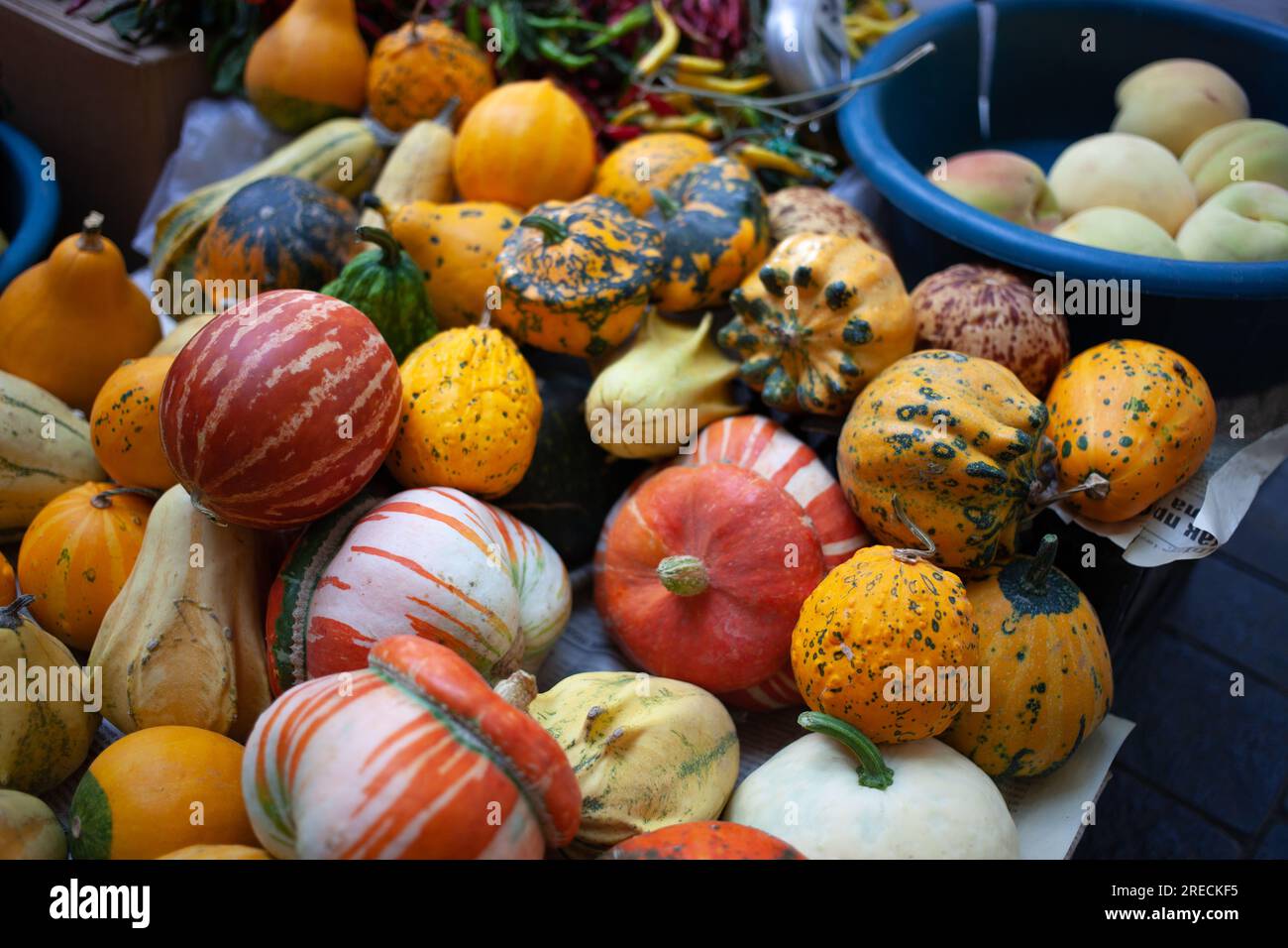 Various pumpkin shapes hi-res stock photography and images - Alamy