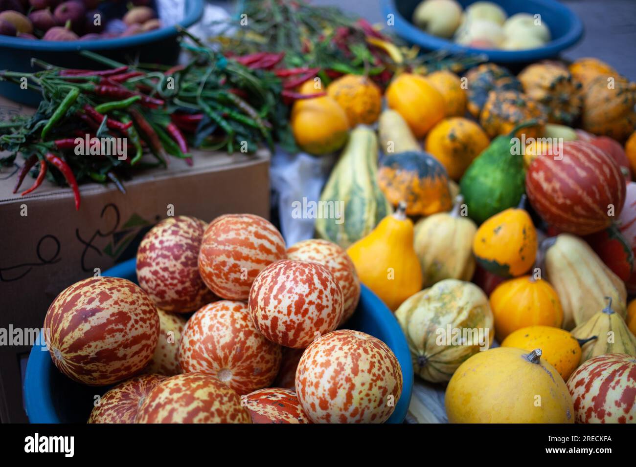 Queen annes pocket melon hi-res stock photography and images - Alamy