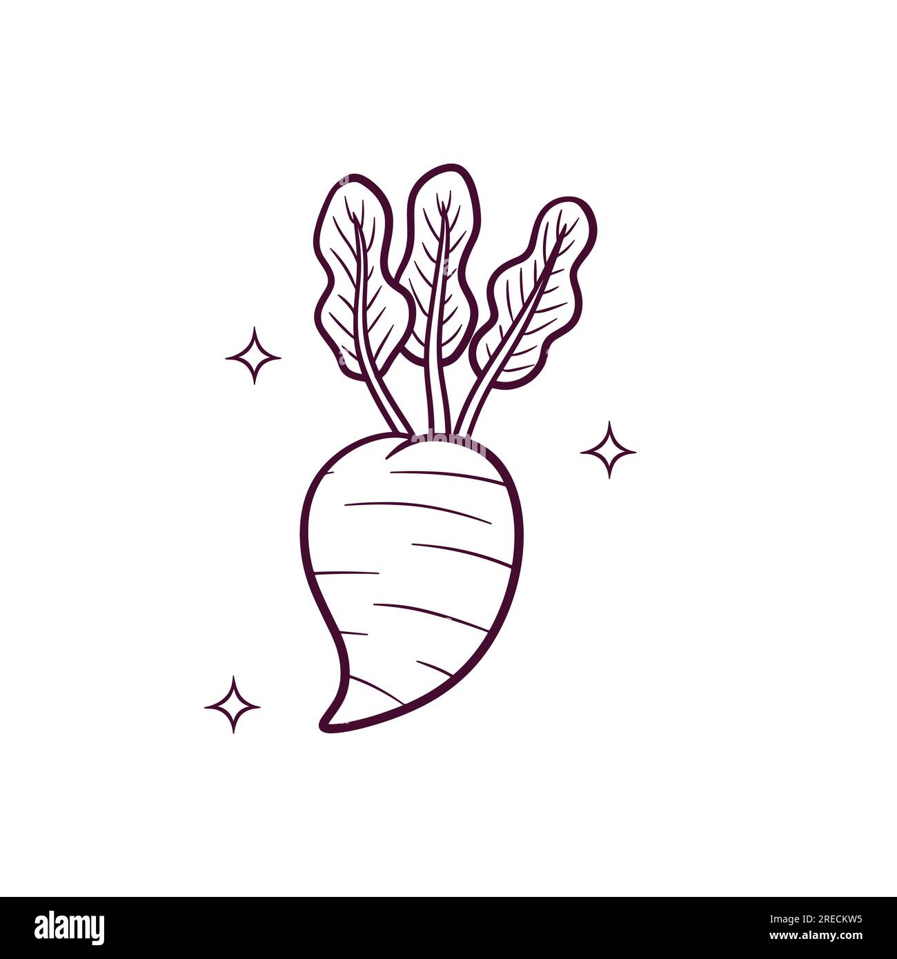 Hand Drawn Radish. Doodle Vector Sketch Illustration Stock Vector Image ...