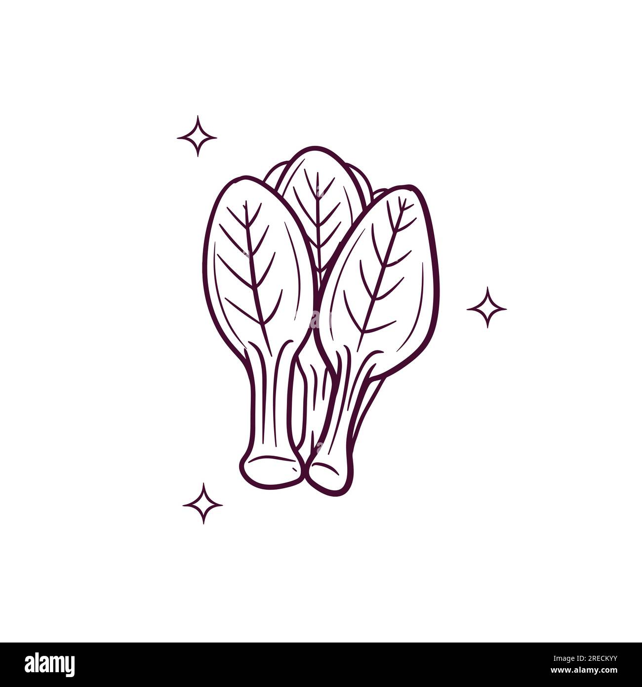 Pak choi leaf Stock Vector Images - Alamy