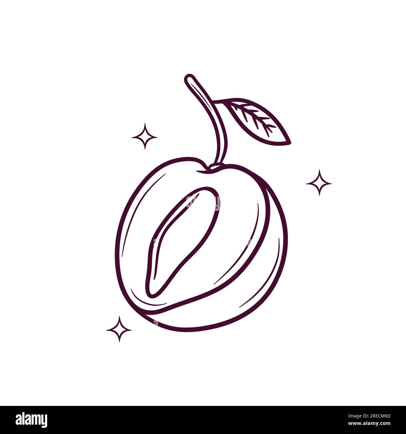 Plum sketch hi-res stock photography and images - Alamy