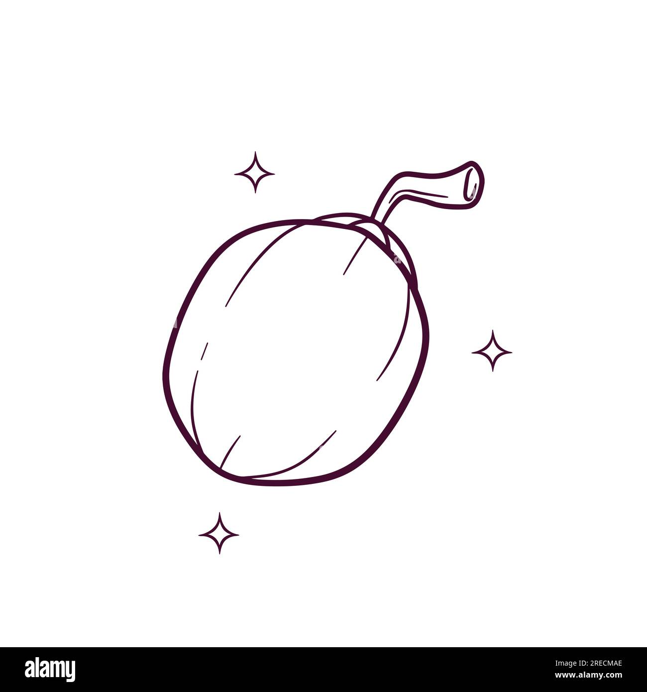 Hand Drawn Coconut. Doodle Vector Sketch Illustration Stock Vector ...