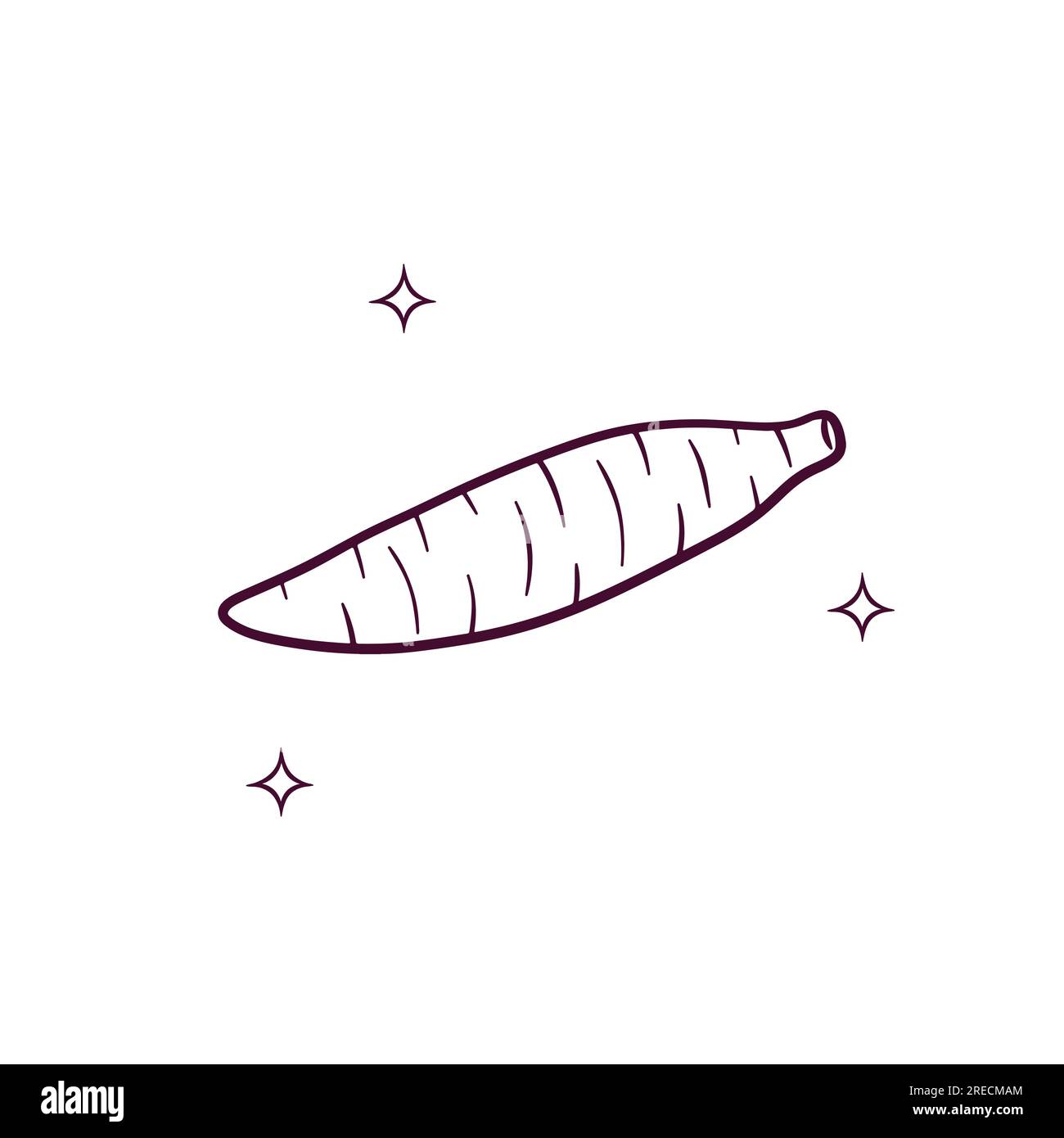 Hand Drawn Cassava Doodle Vector Sketch Illustration Stock Vector Image And Art Alamy