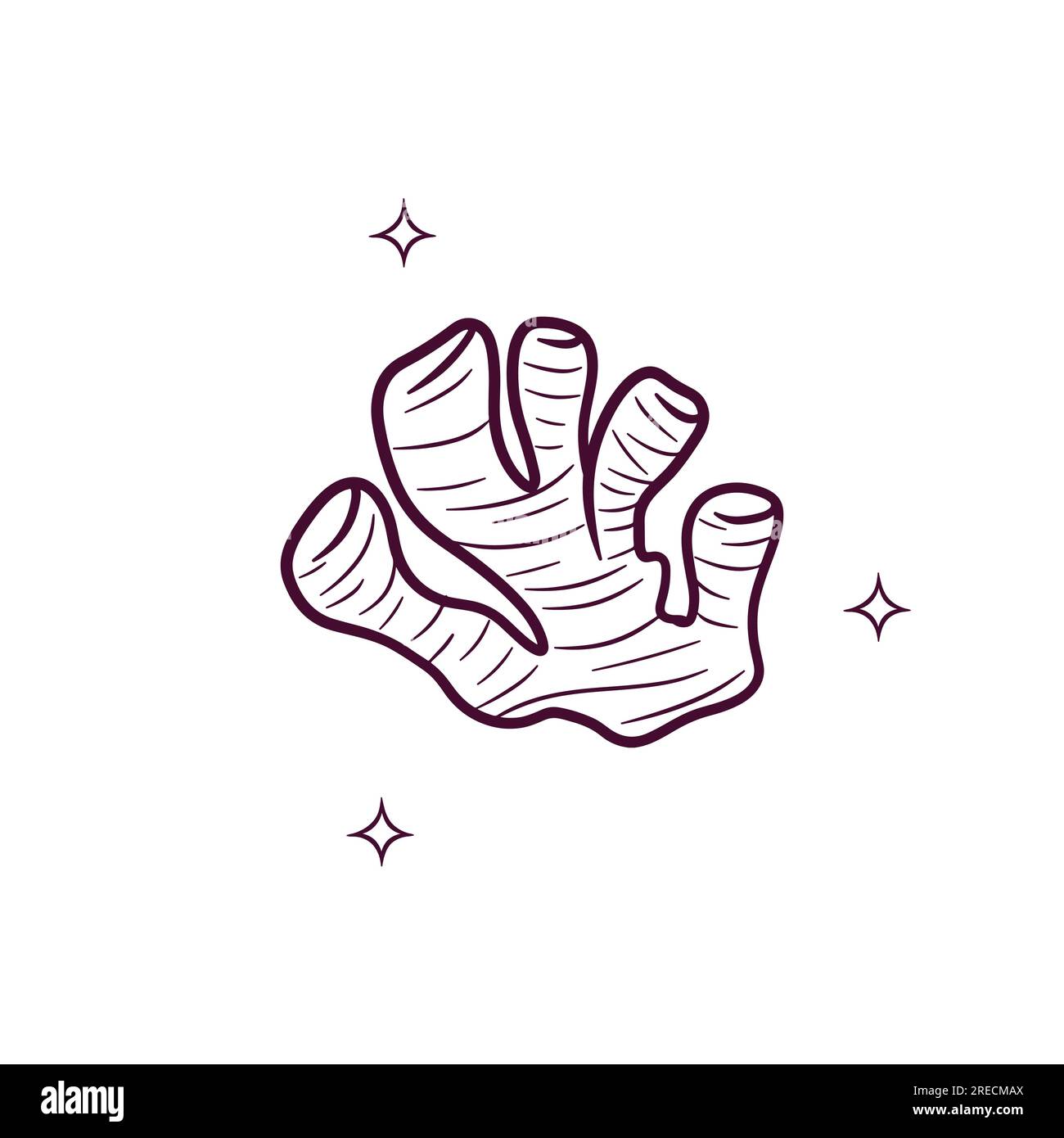 Hand Drawn Ginger. Doodle Vector Sketch Illustration Stock Vector Image ...
