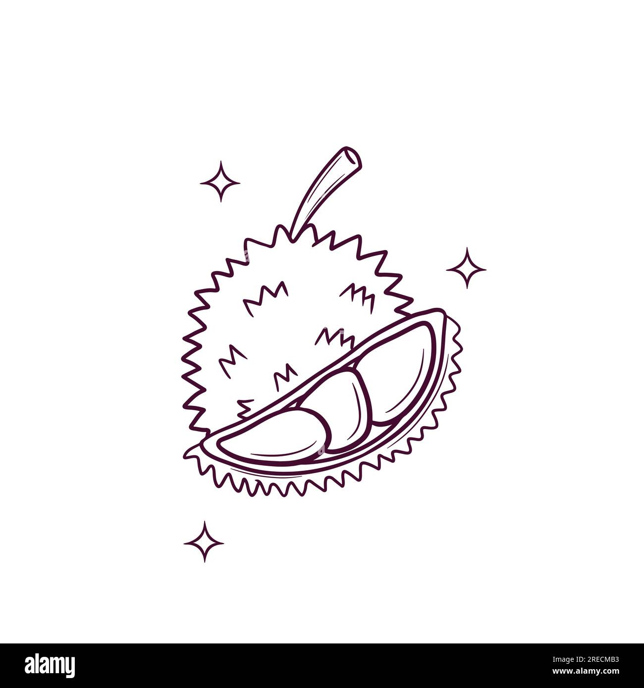 Hand Drawn Durian. Doodle Vector Sketch Illustration Stock Vector Image ...