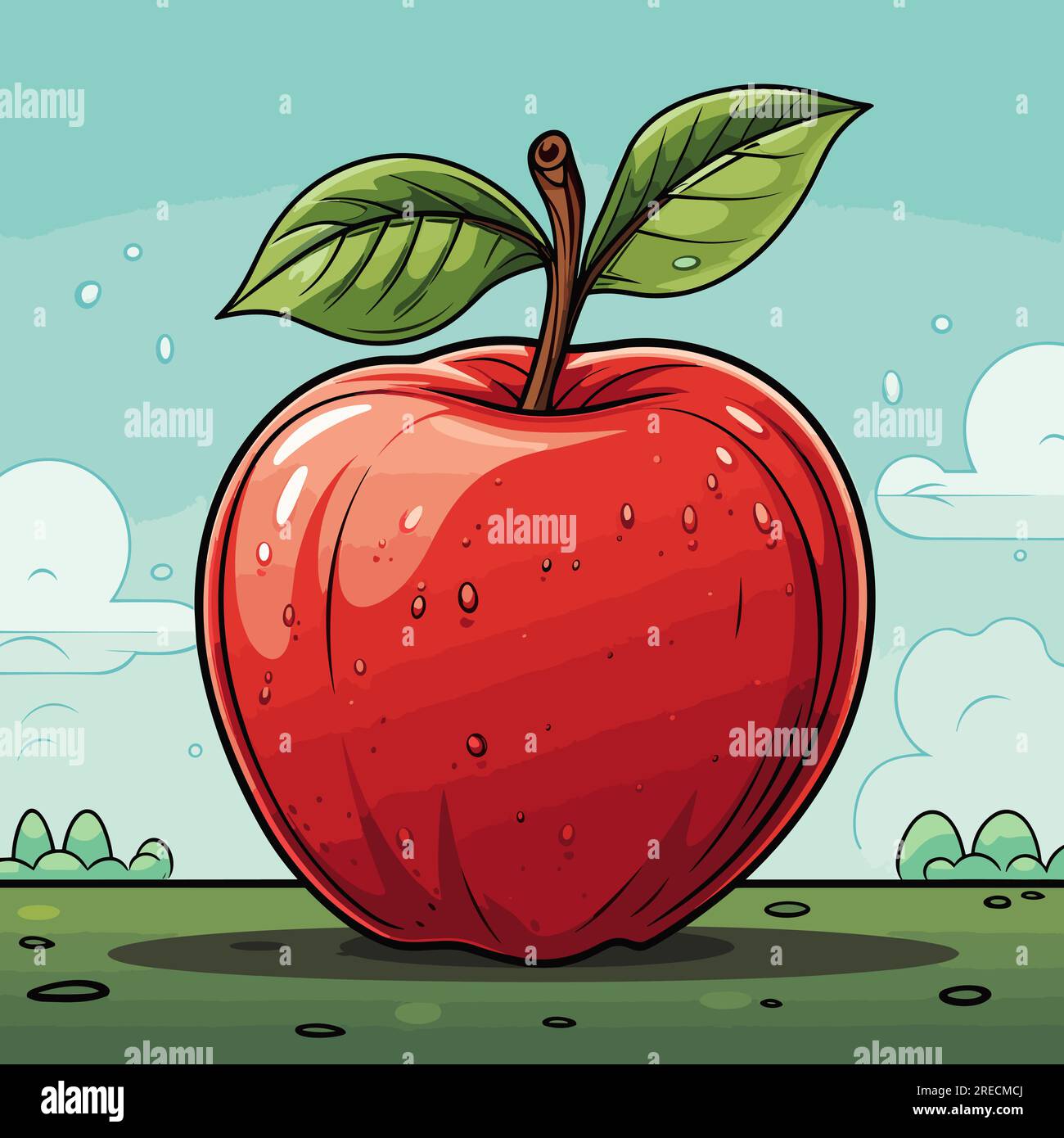 Malus domestica illustration Stock Vector Images - Alamy