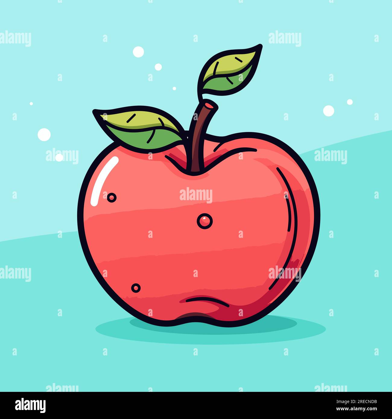 Malus domestica illustration Stock Vector Images - Alamy