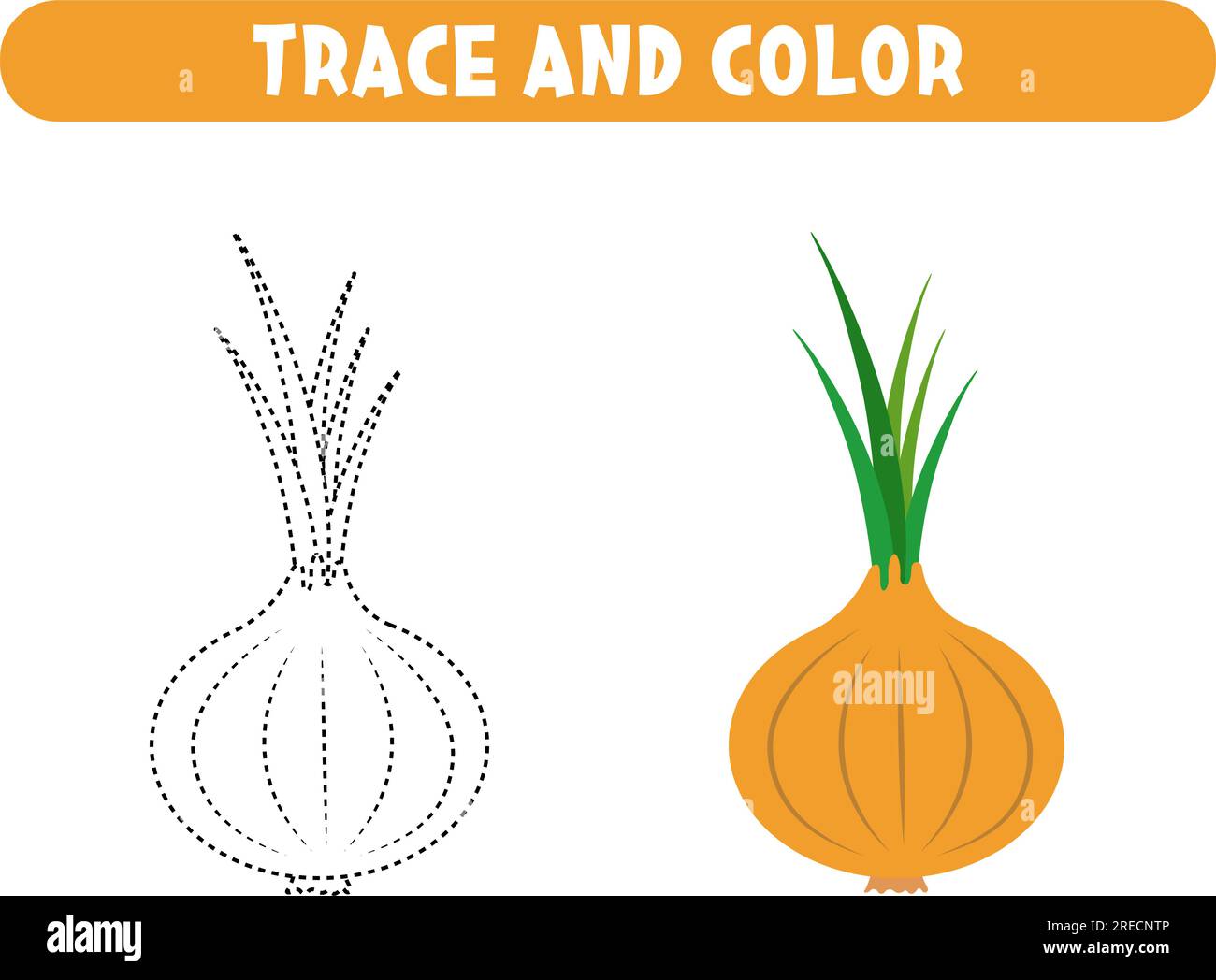 Cartoon onion hi-res stock photography and images - Alamy