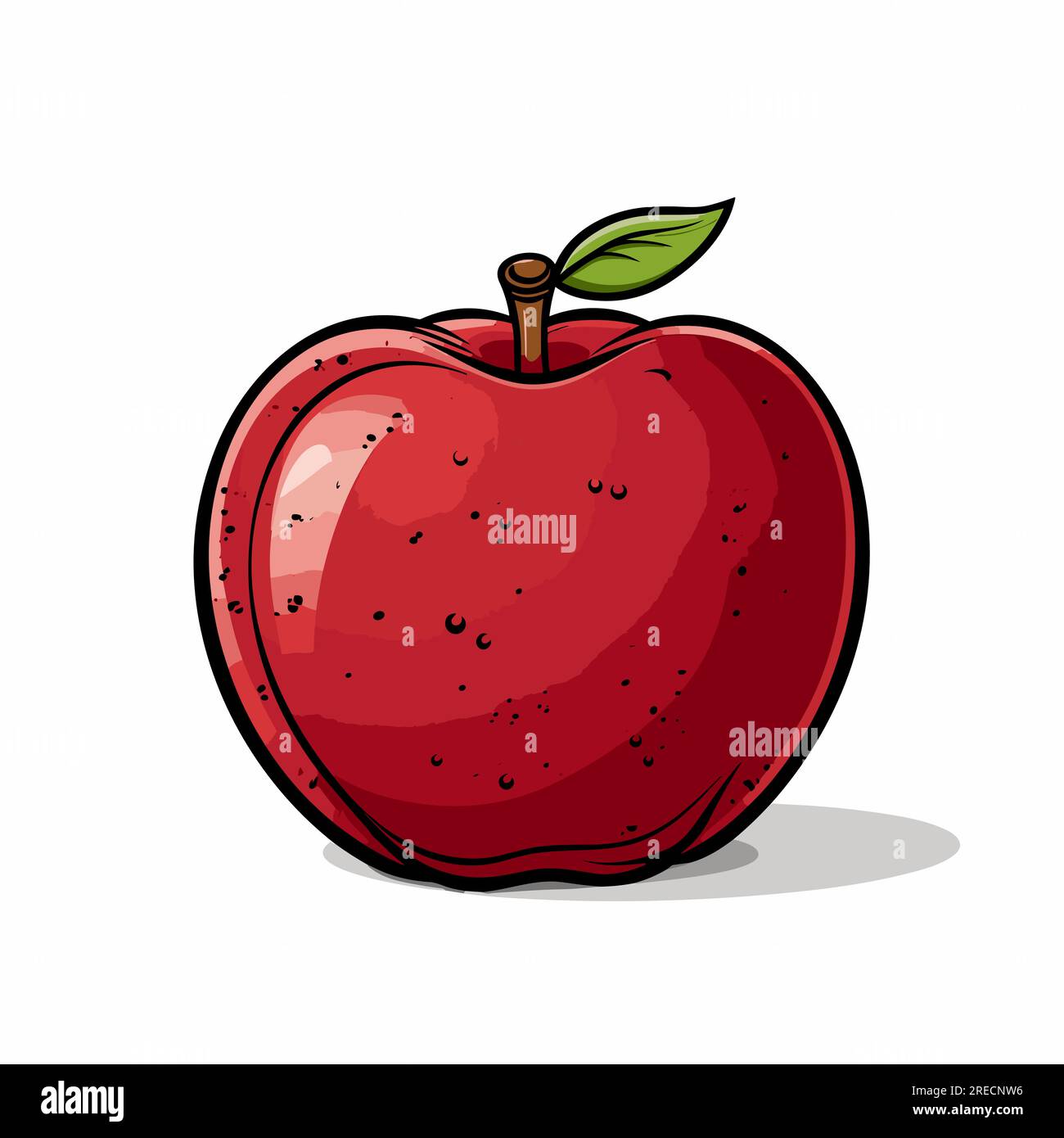 Malus domestica illustration Stock Vector Images - Alamy