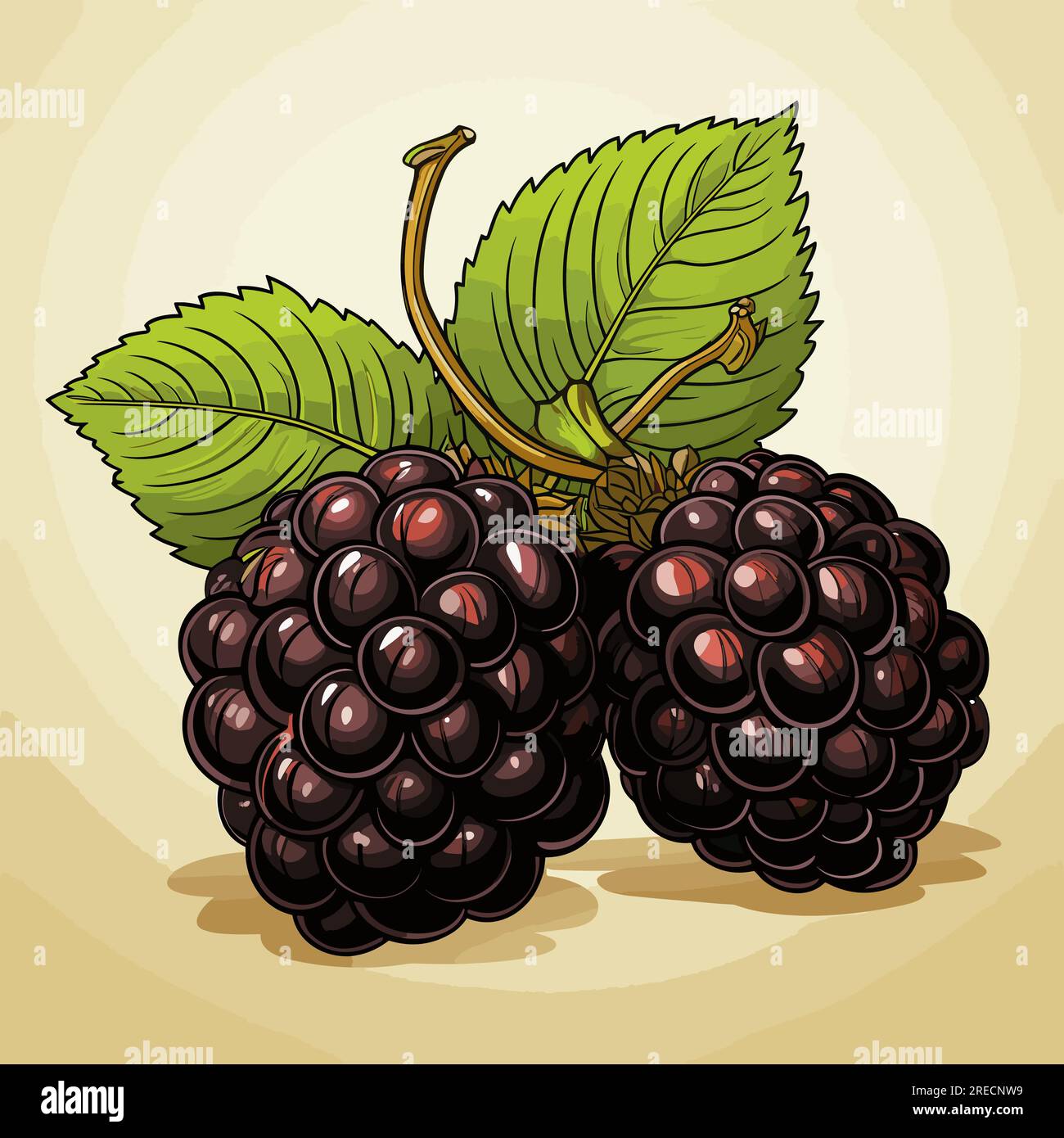 Blackberry Cartoon Drawing at Heather Carlson blog