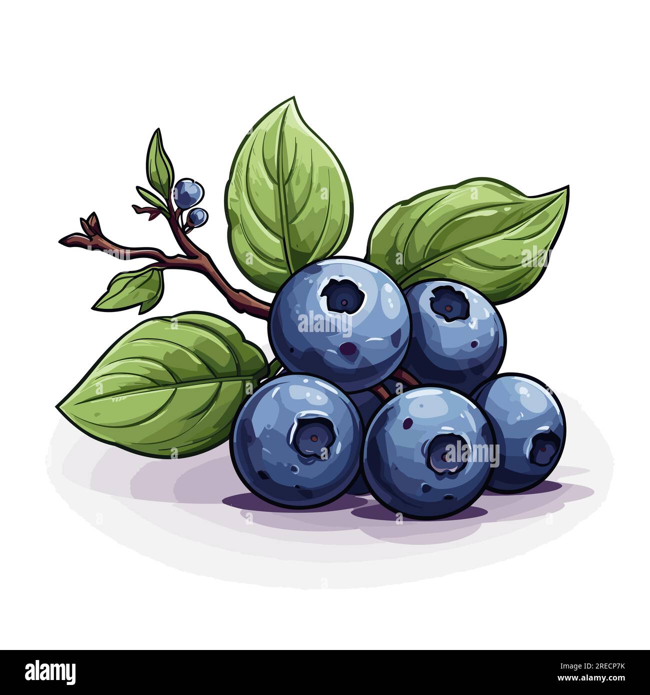 Vaccinium Stock Vector Images - Alamy