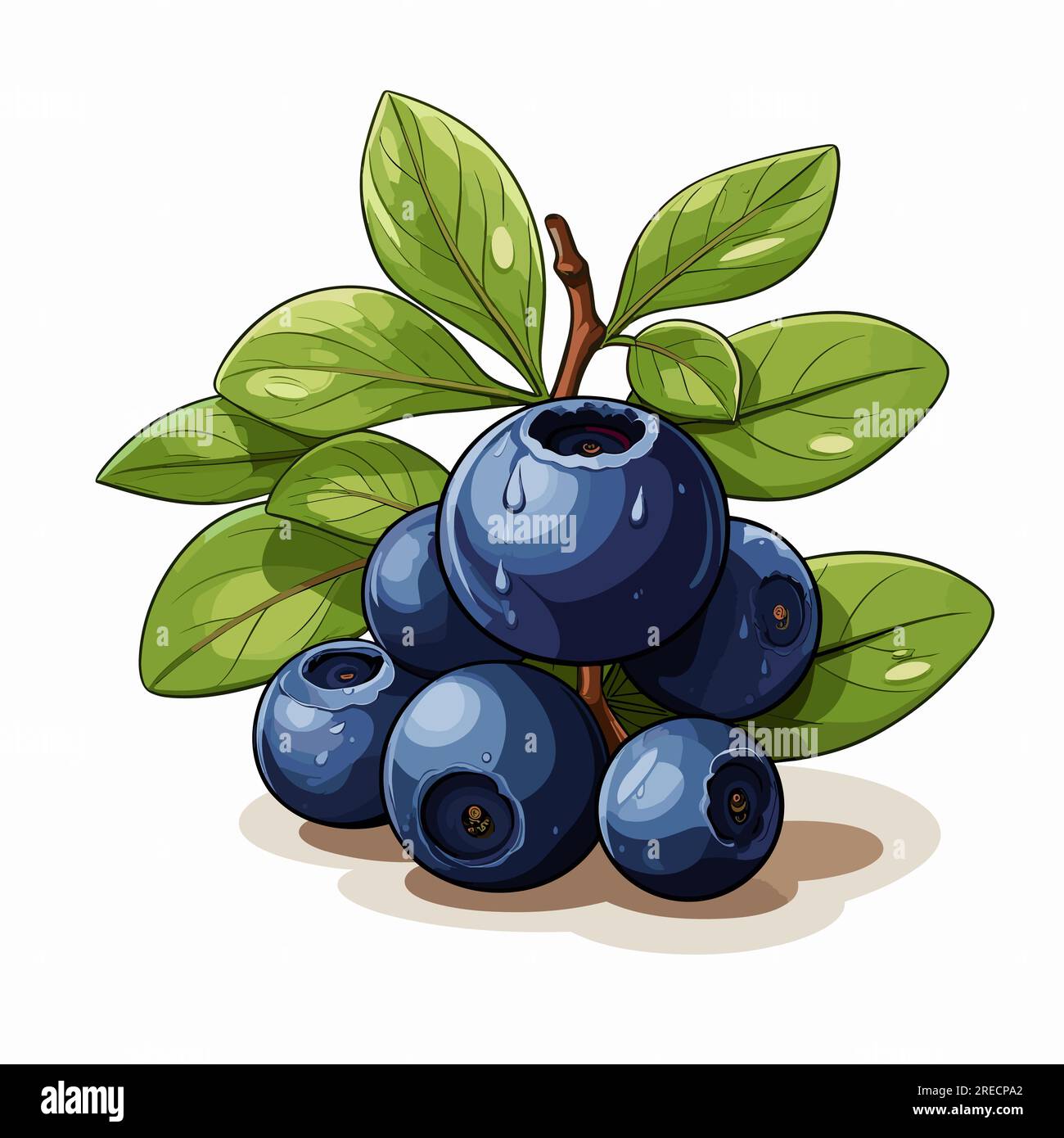 Blueberry Drawing Cartoon at Brian Schurman blog