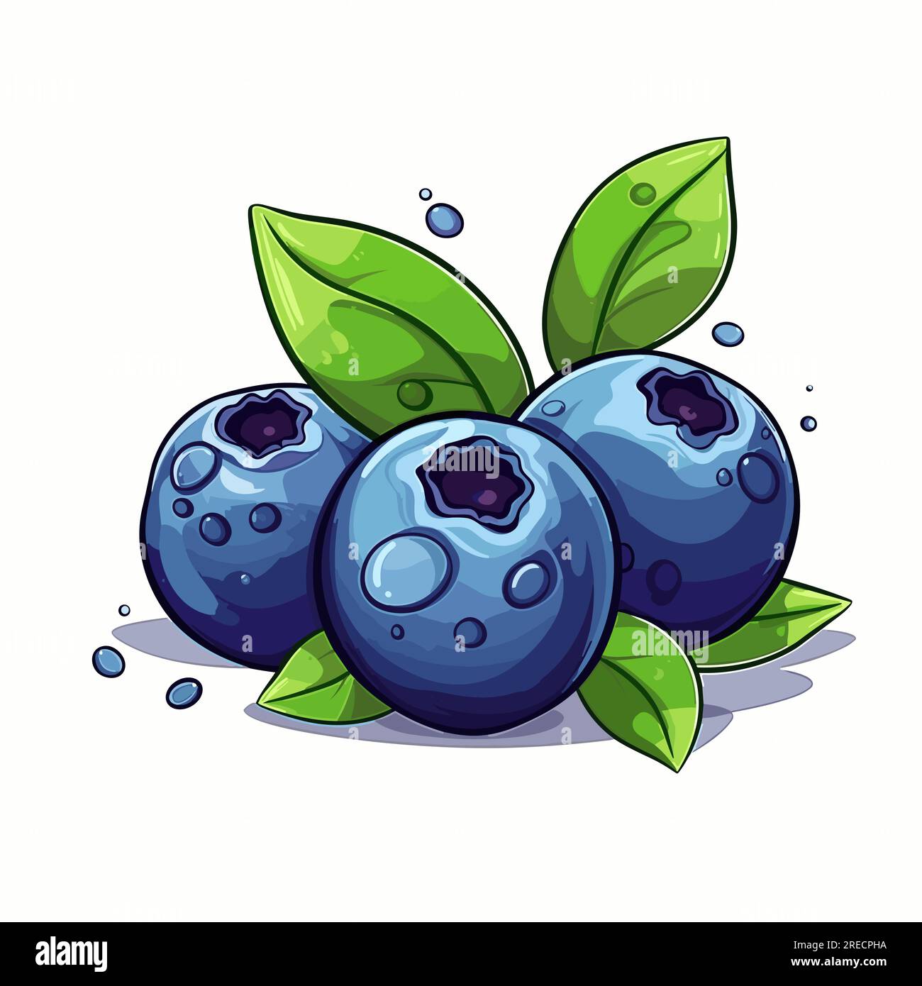 Blueberry Illustration