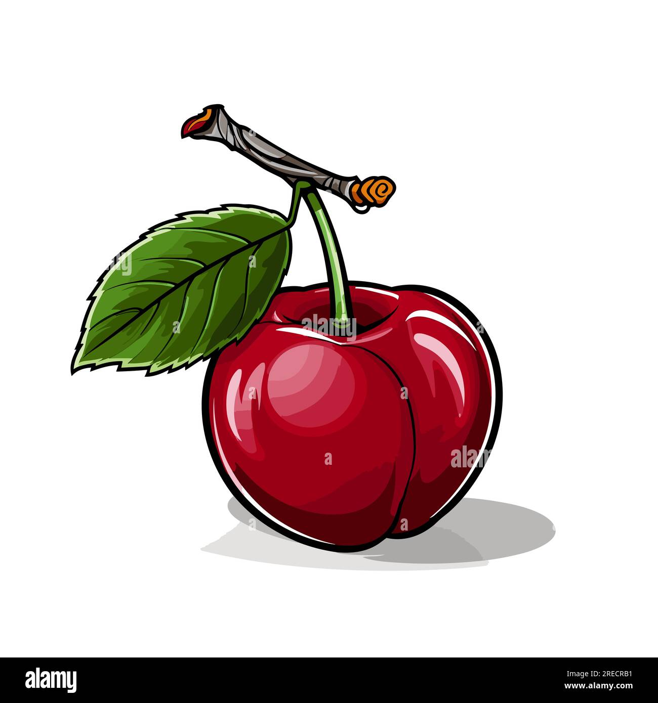 Prunus cherry Stock Vector Images - Alamy