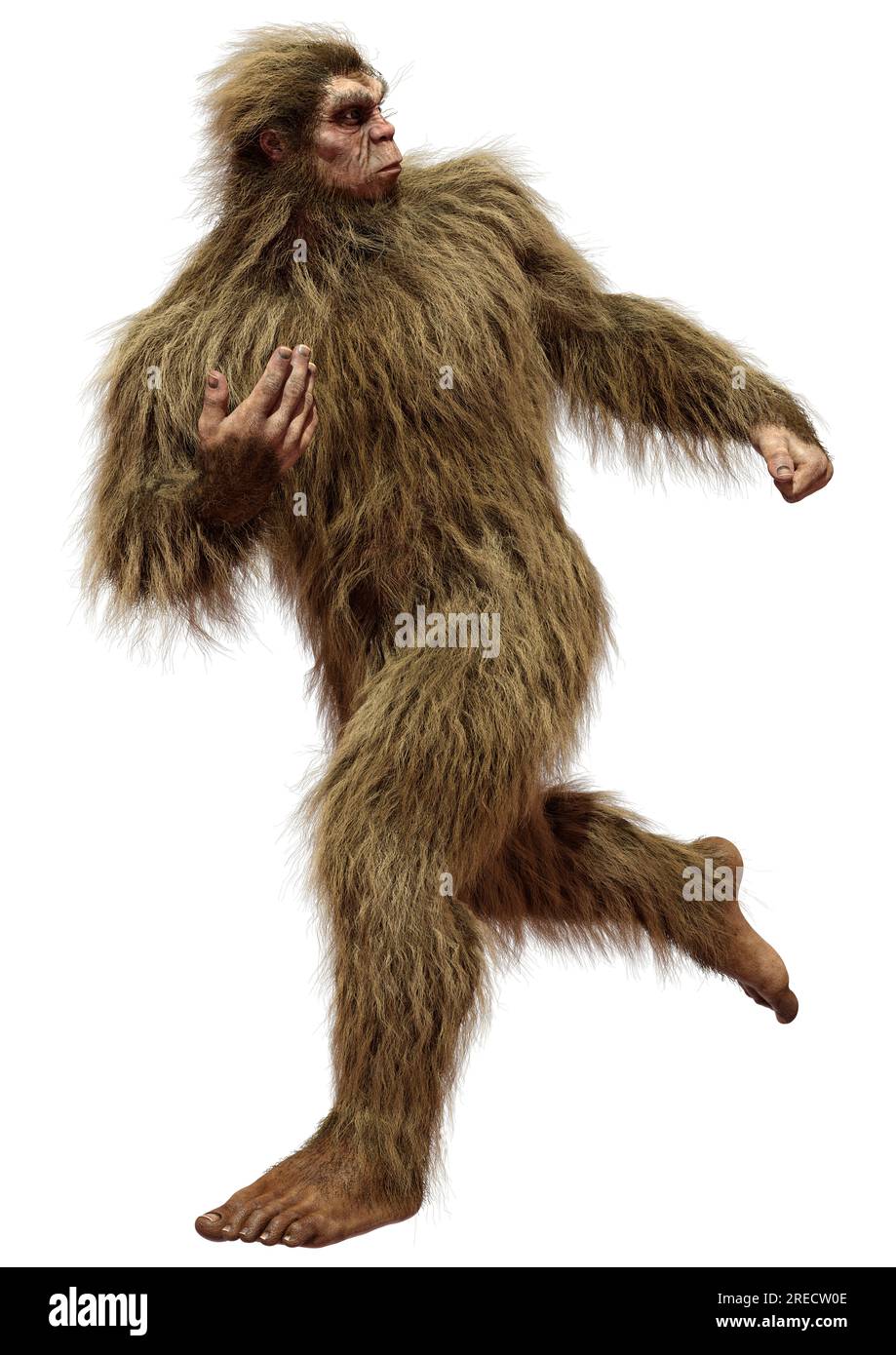 3D rendering of a Sasquatch or Bigfoot isolated on white background ...