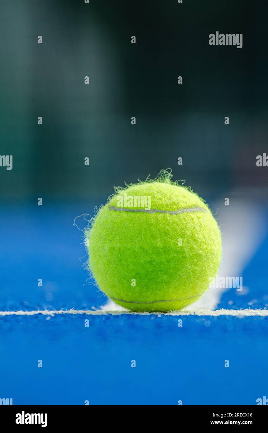 ground level view of a ball over the line of a blue paddle tennis court ...