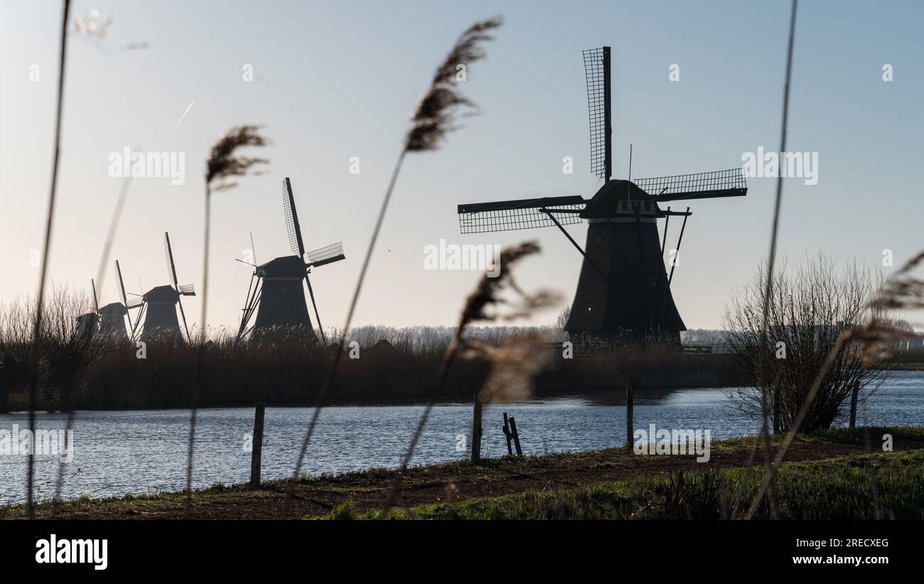 Early morning enjoying the sunrise at the famous windmills of ...