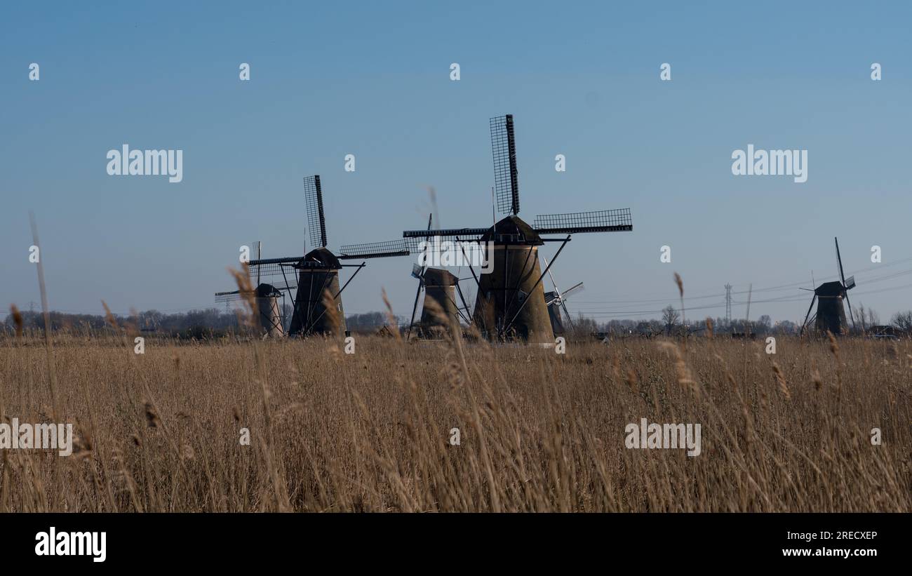 Early morning enjoying the sunrise at the famous windmills of ...