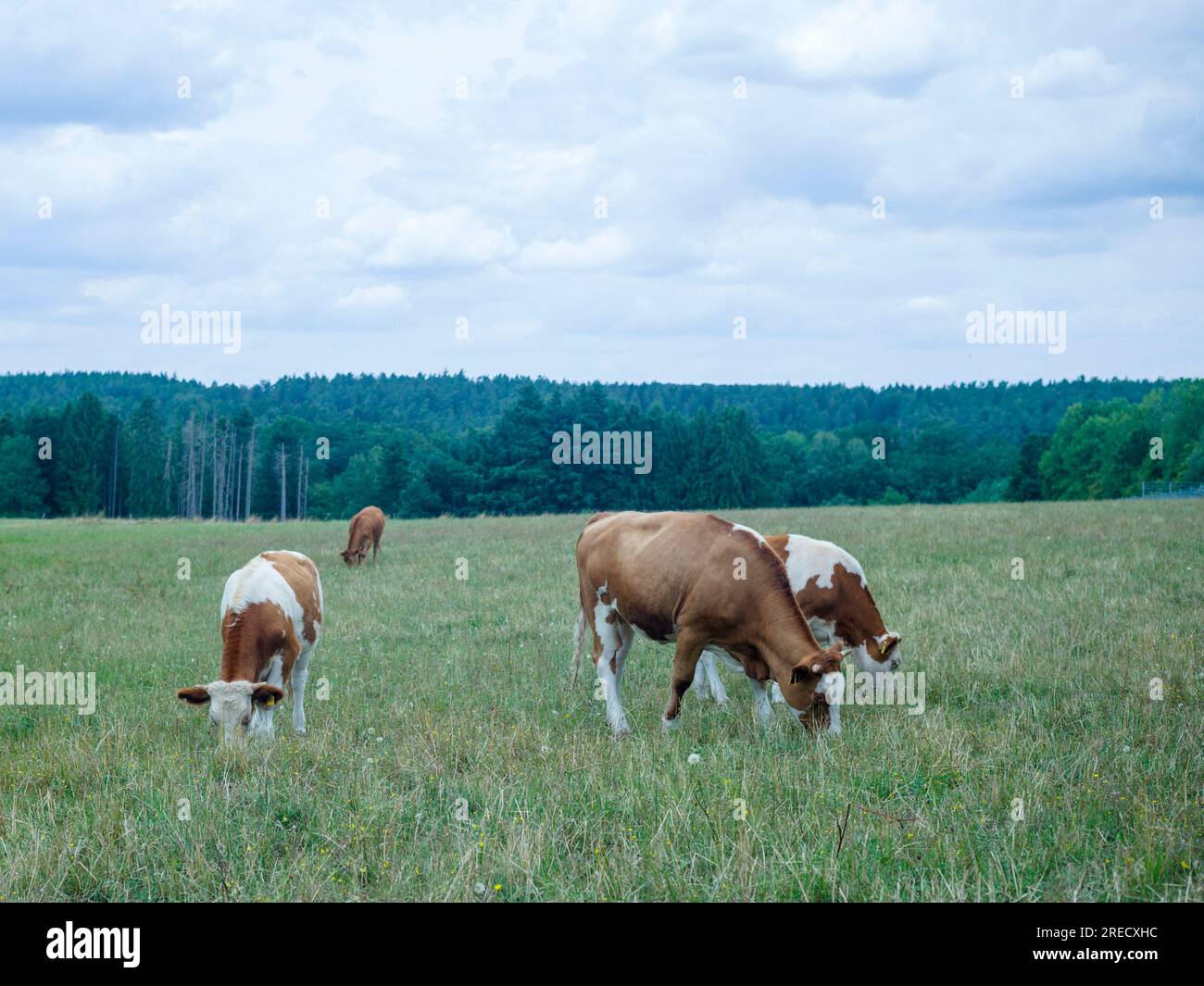 Farming germany hi-res stock photography and images - Alamy