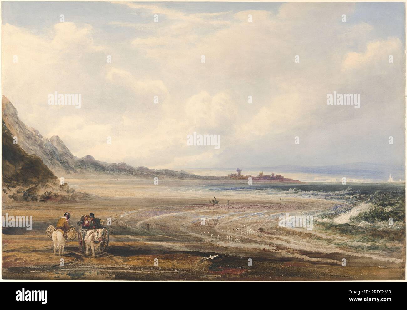 28 x 19 x 19 5 cm hi-res stock photography and images - Alamy