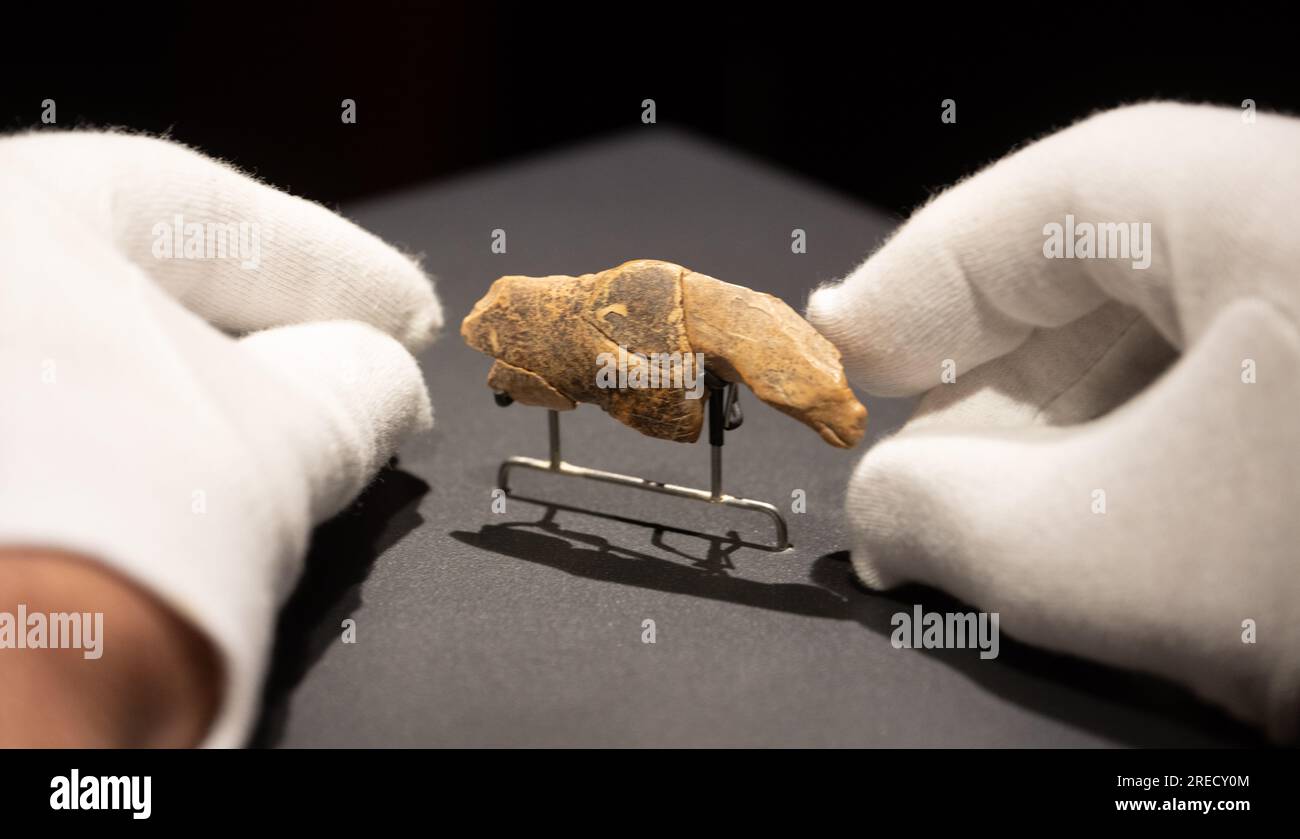 Blaubeuren, Germany. 26th July, 2023. An employee presents an ivory ...