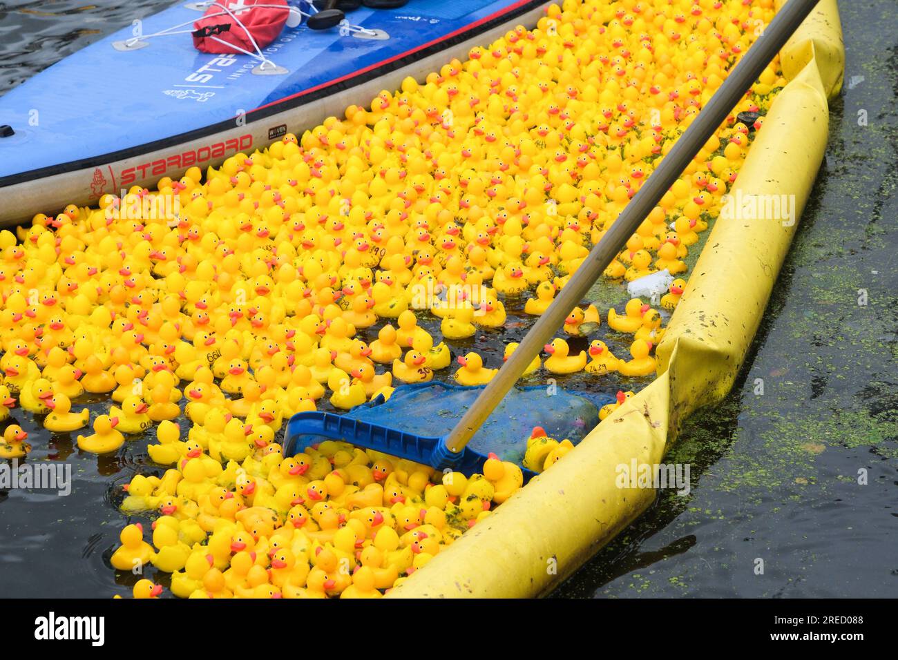 Paddington Basin, London, UK. 27th July 2023. Rubber Duck Race raising ...