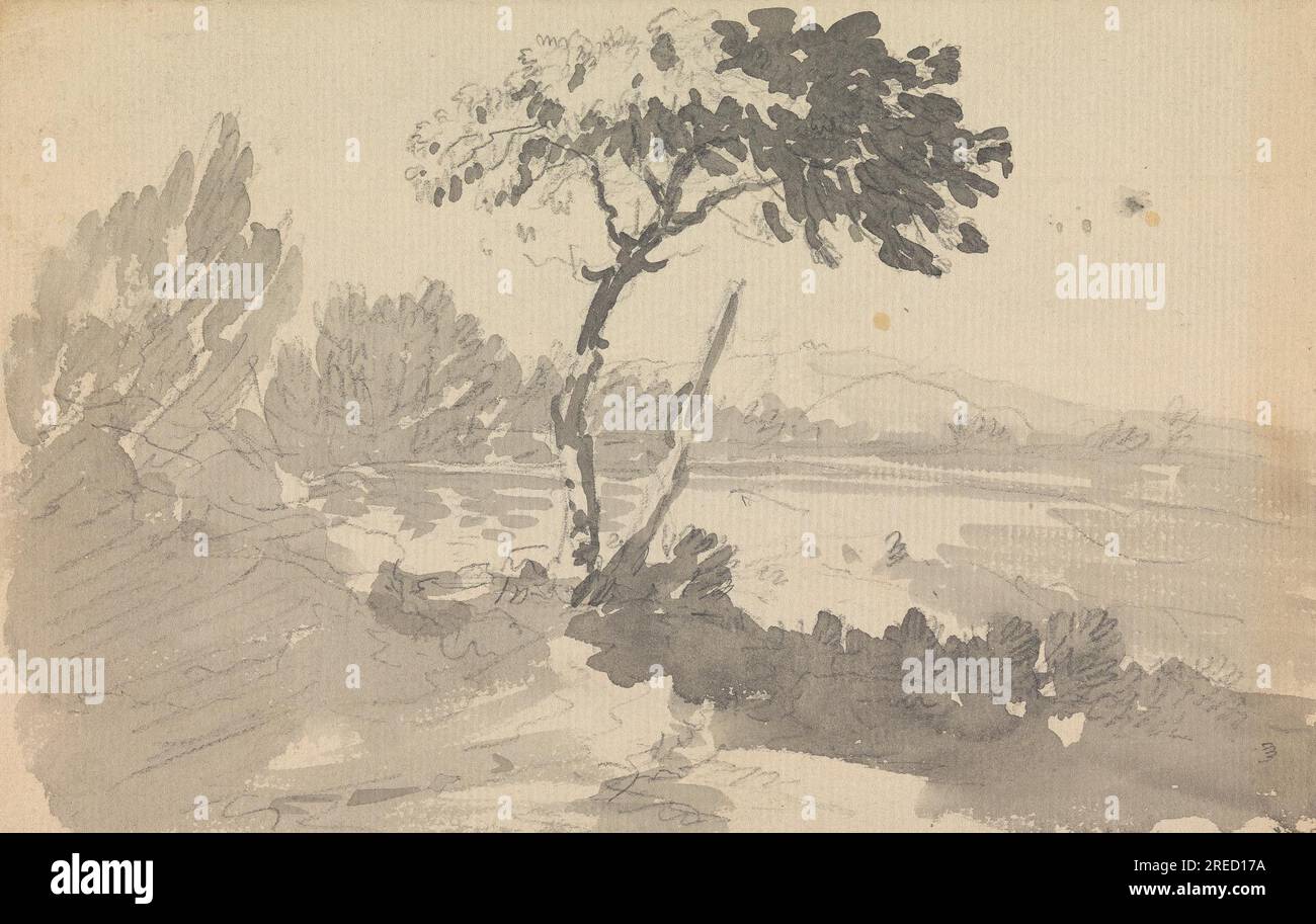 Tree and Lake between 1762 and 1783 by William Gilpin Stock Photo - Alamy