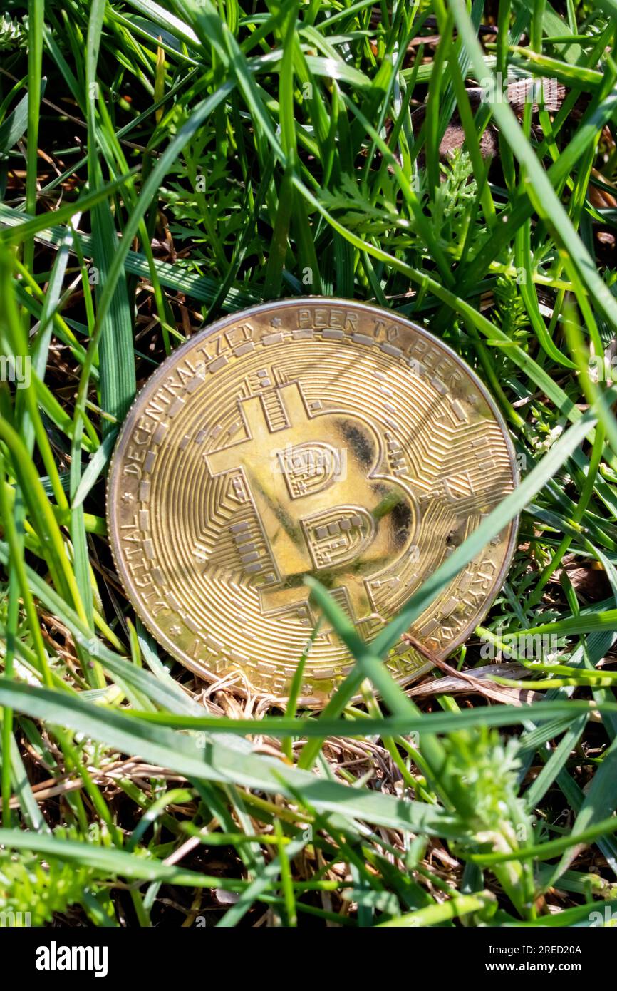 Bitcoin crypto currency vertical green hi-res stock photography and ...