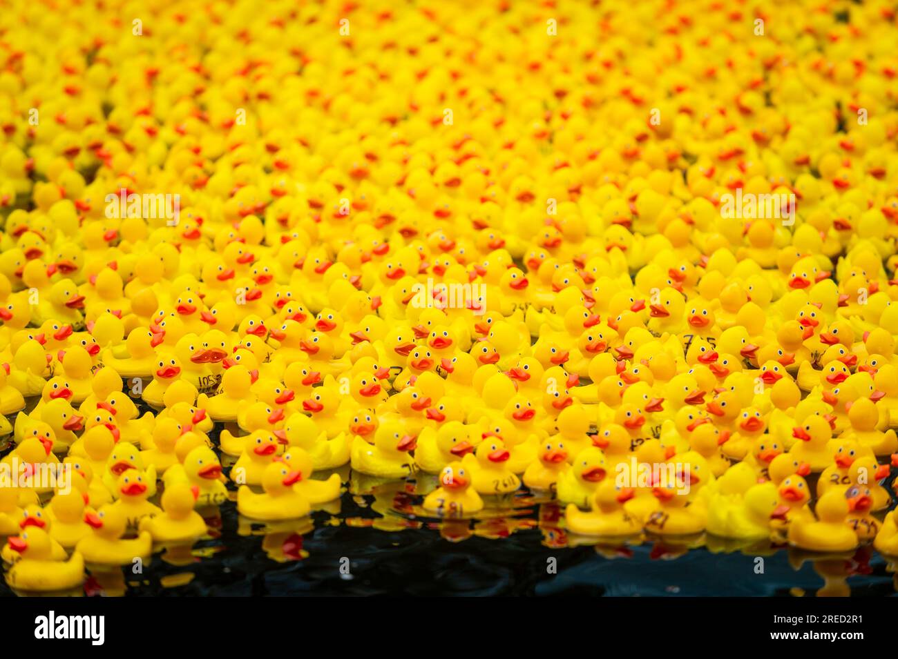 London, UK. 27 July 2023. One thousand ducks in a charity rubber duck ...