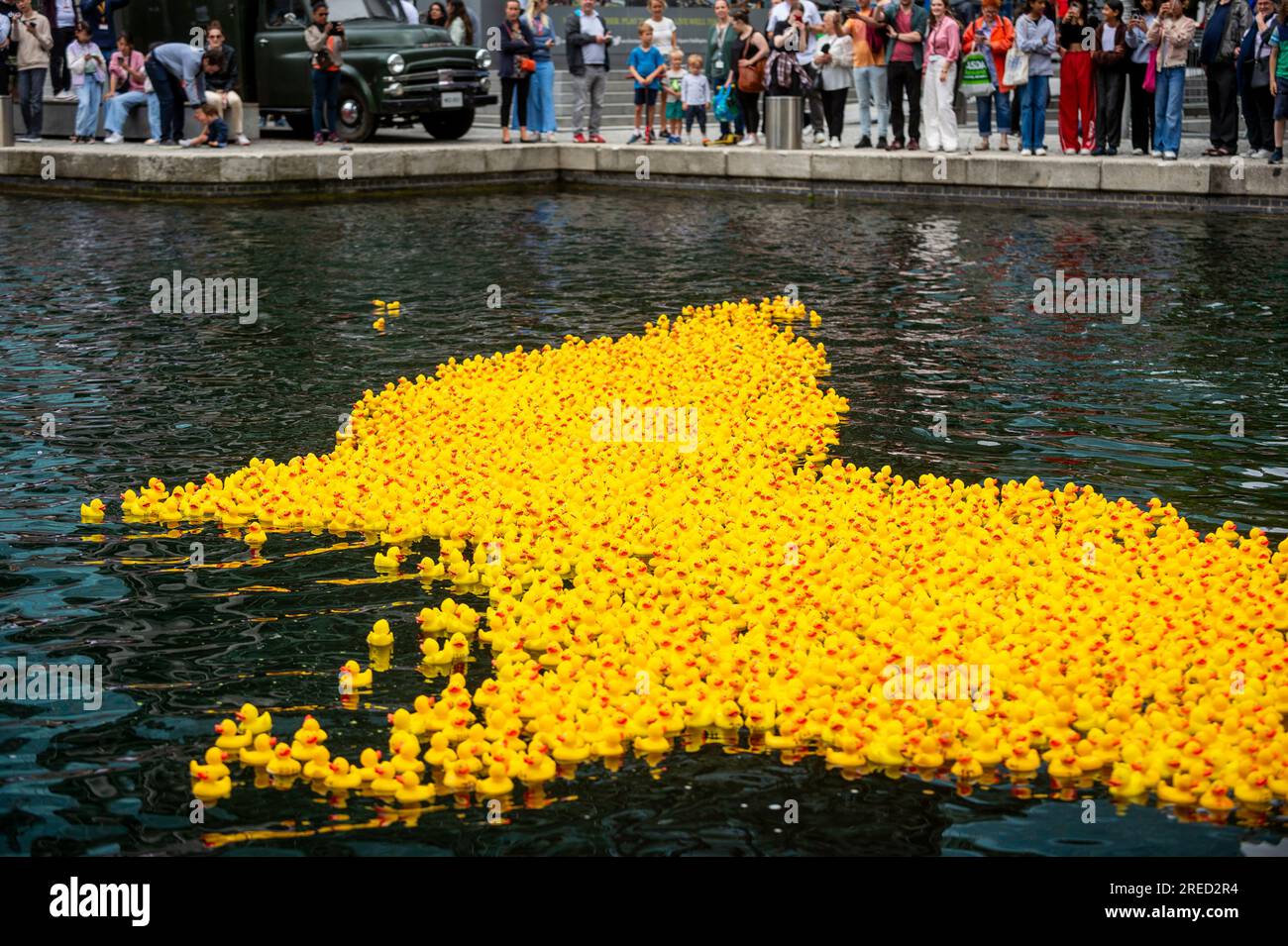 London, UK. 27 July 2023. The public watches one thousand ducks in a ...