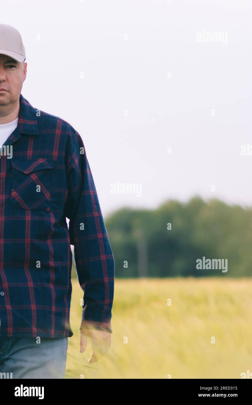 Checking the yield of grain crops at sunset. Man conducts experiments ...