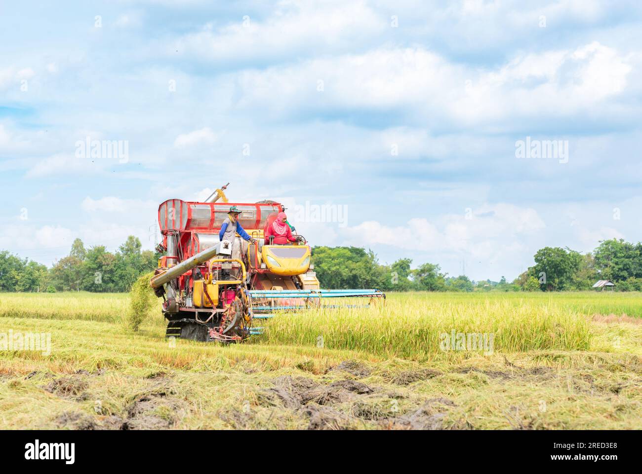 Modern rice harvesting hi-res stock photography and images - Alamy