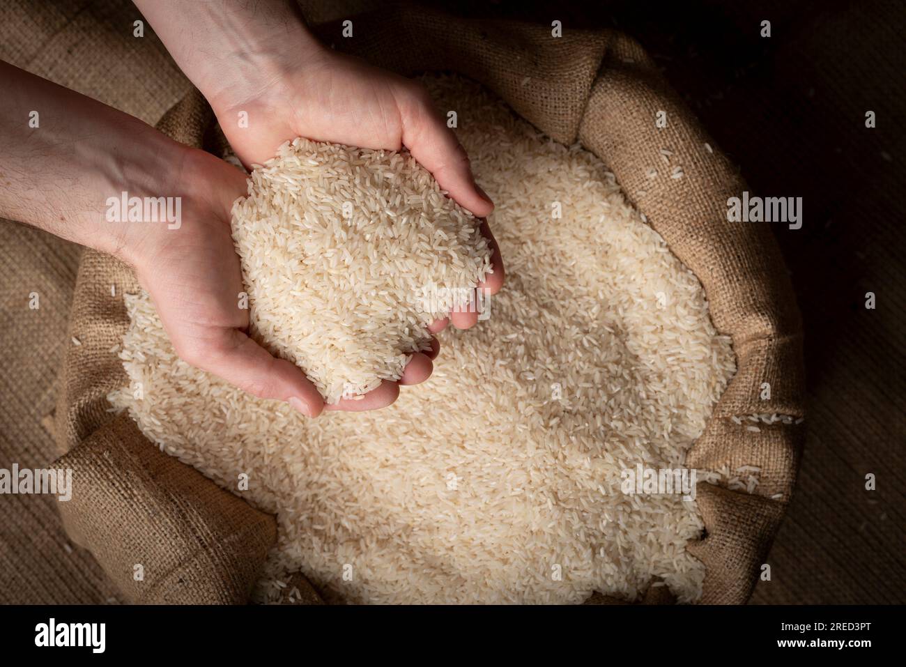 Human hands holding handful of rice over burlap sack Stock Photo - Alamy