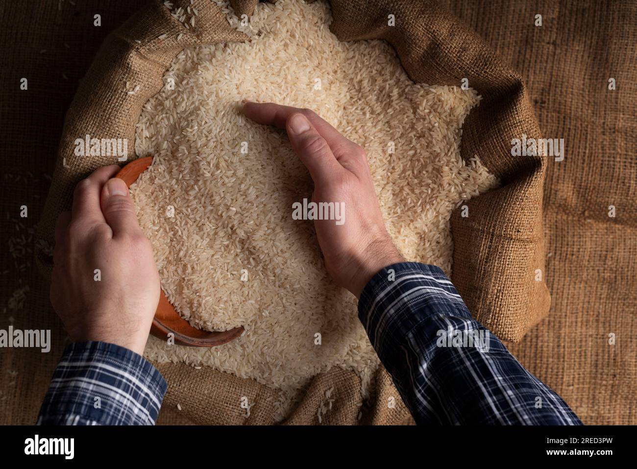 Human hands holding handful of rice over burlap sack Stock Photo - Alamy