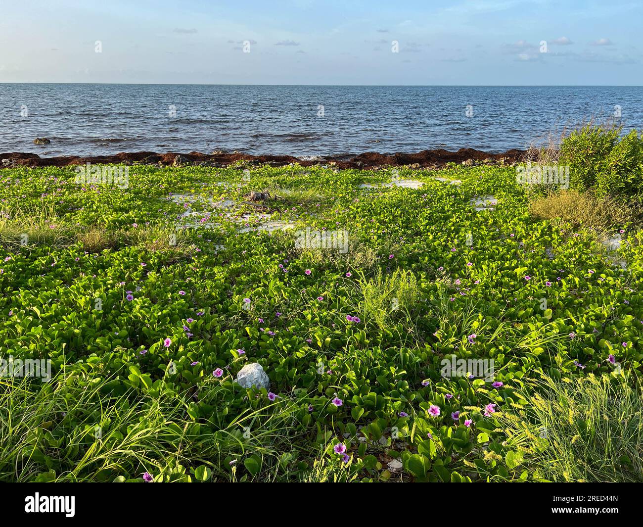 The view of the Atlantic ocean from a campsite in Bahia Honda State ...
