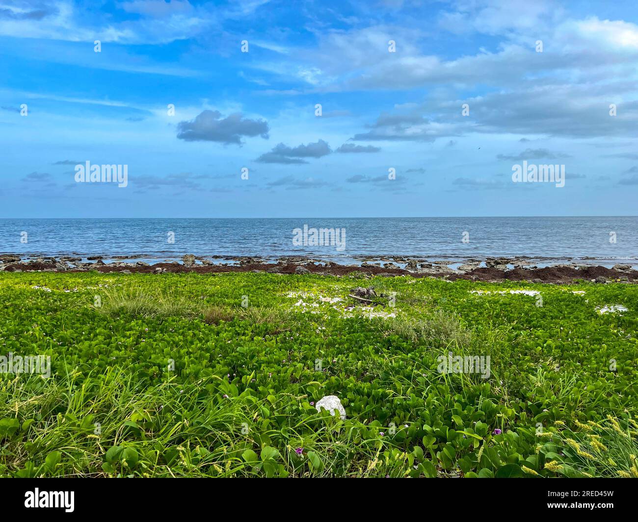 The view of the Atlantic ocean from a campsite in Bahia Honda State ...
