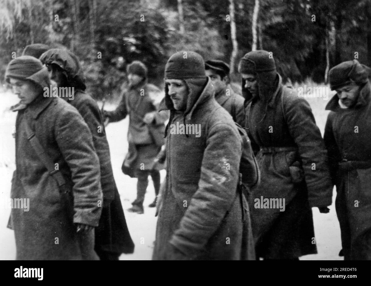 Russian prisoners of the fighting outside Moscow near Rusa. Photo ...