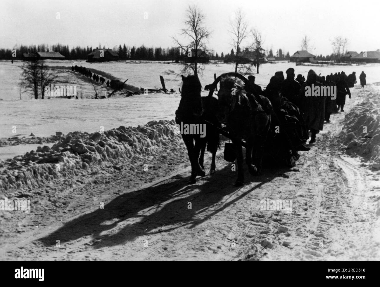 German supply column during the winter fighting in the area of Army ...