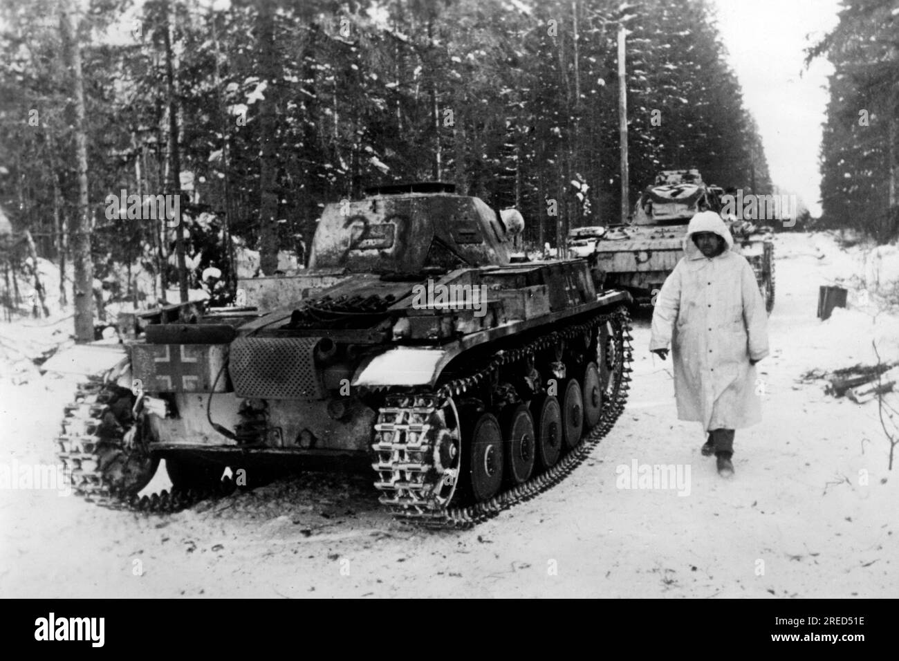 German tanks (in front a Panzer II, behind a Panzer III) in a wooded ...