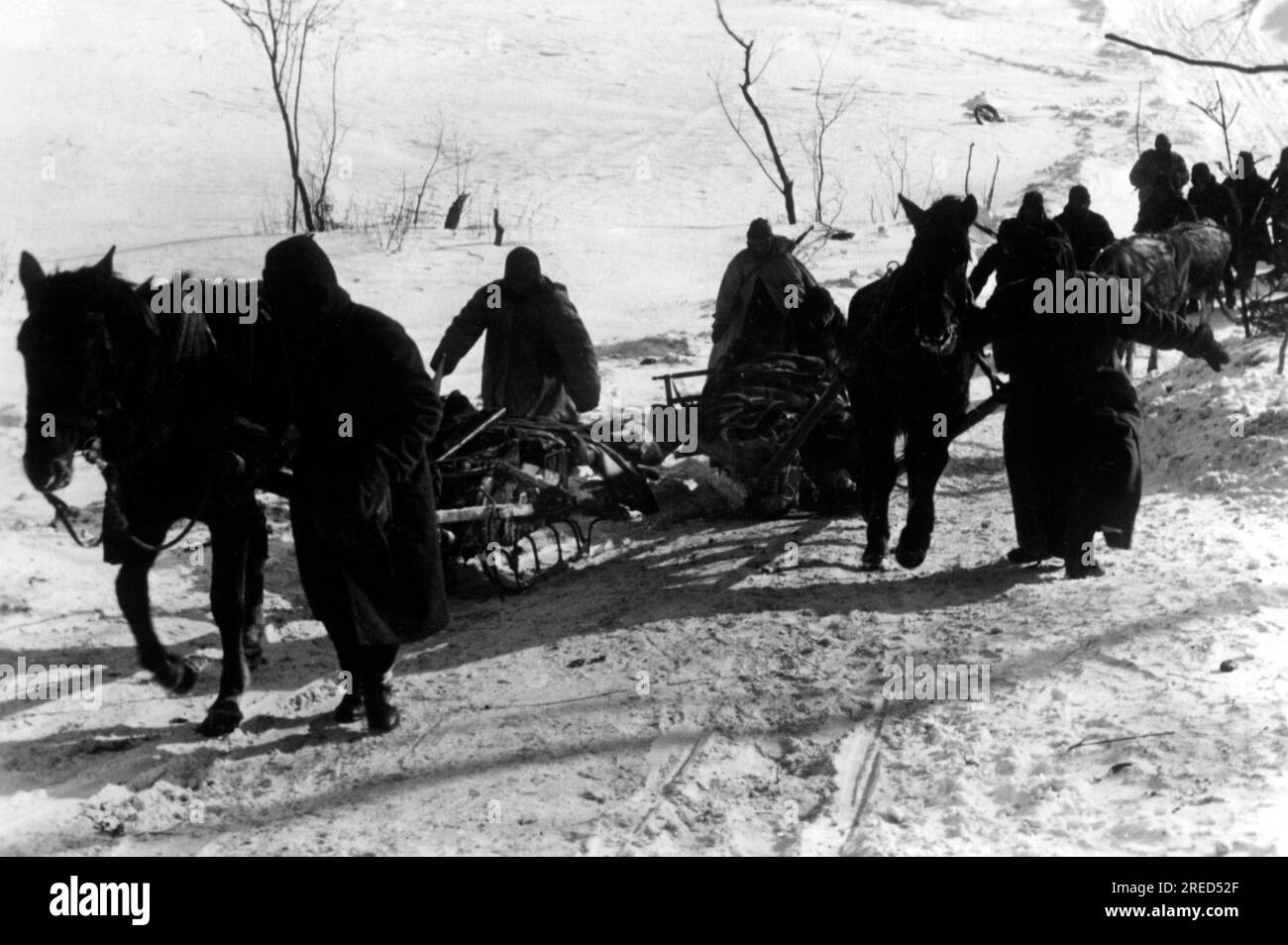German column on the Eastern Front at Chertolino near Rzhev in the area ...