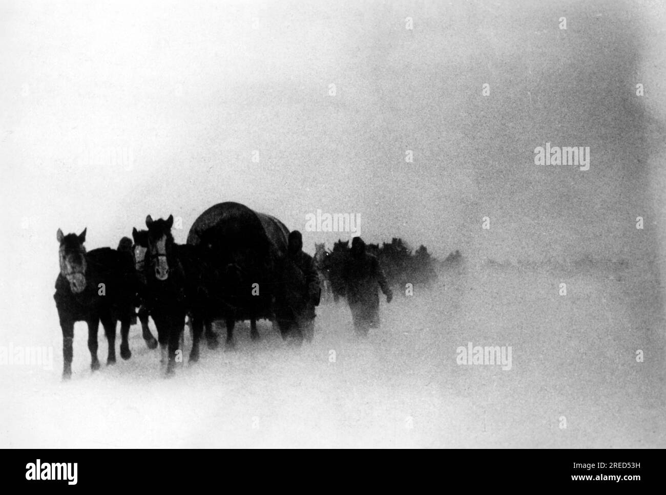 German supply column near Rostov-on-Don in the southern section of the ...