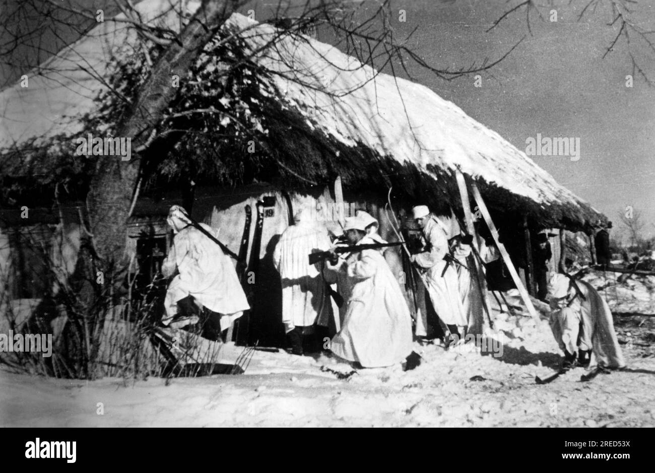 German mountain troops in winter. Photo: Springmann [automated ...