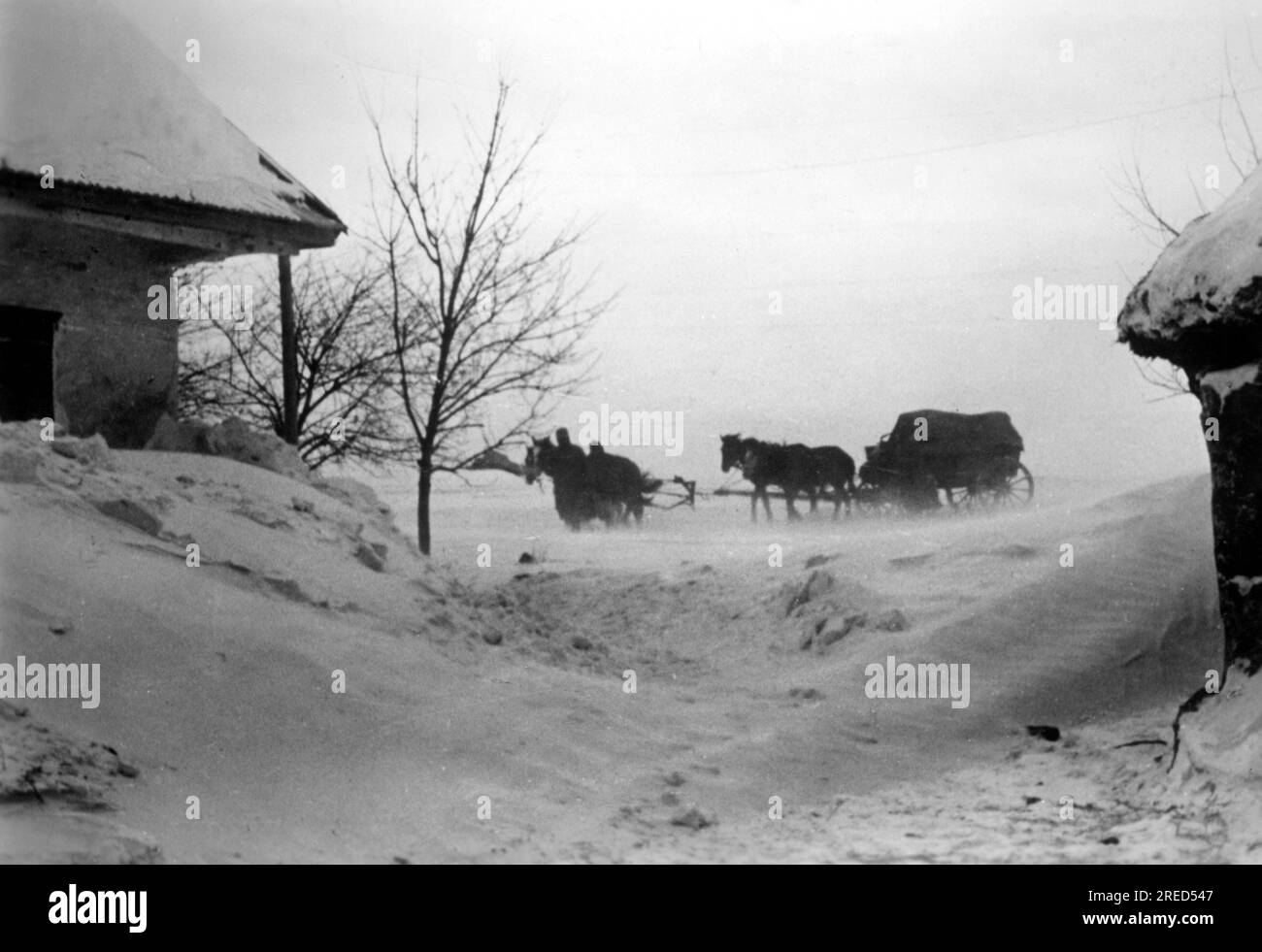 German horse-drawn wagon at the front on the Donets in winter 1942 ...