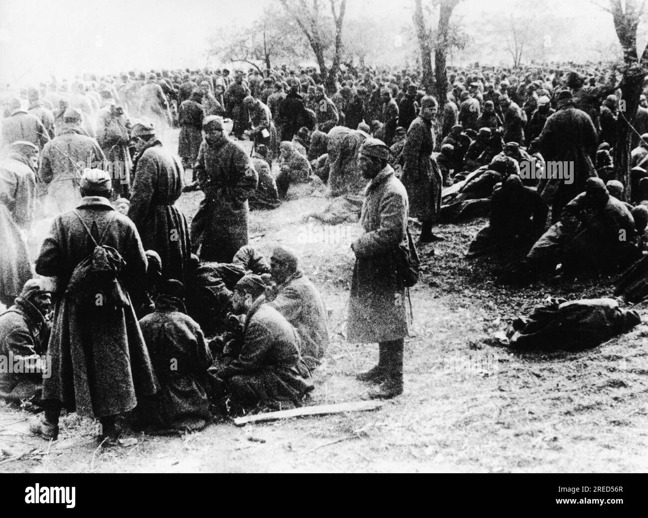 Prisoners war ukraine hi-res stock photography and images - Alamy