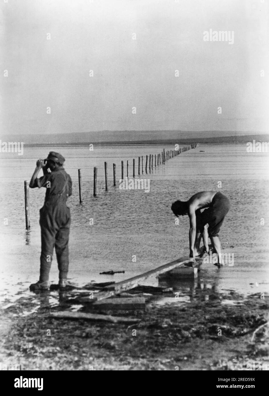 German soldiers in the Kuban bridgehead south of the Ilitsch headland ...